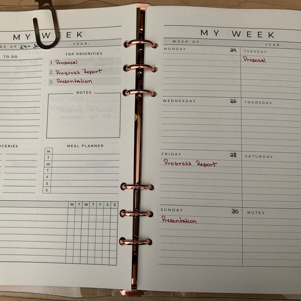 Editable Cleaning Schedule, Cleaning Planner Printable, Daily, Weekly ...