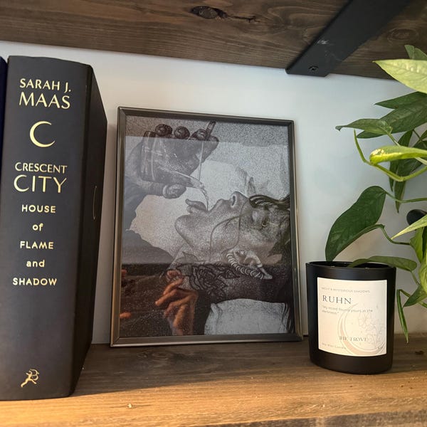 Ruhn Danaan Crescent City 8x10” Fine Art Giclee Print Gift SJM Fanart ...