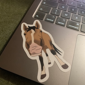 Customizable Animation Horse Sticker Personal Decal Cartoon - Etsy