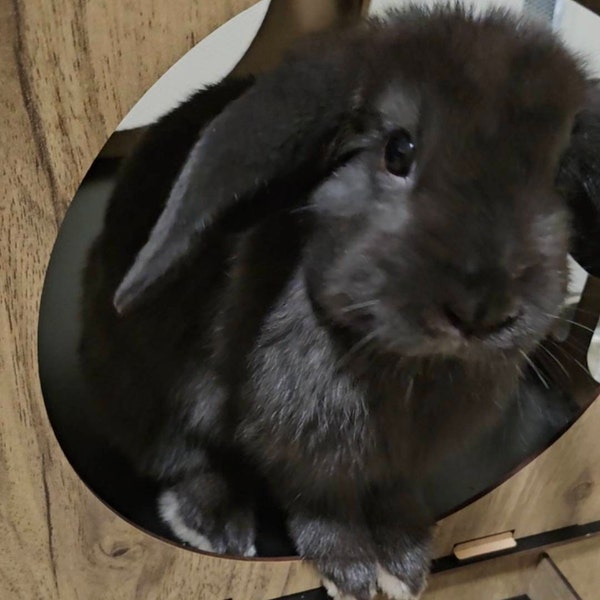 Wooden Rabbit House, Two Storey Rabbit Castle, Hay Feeder Bunny ...