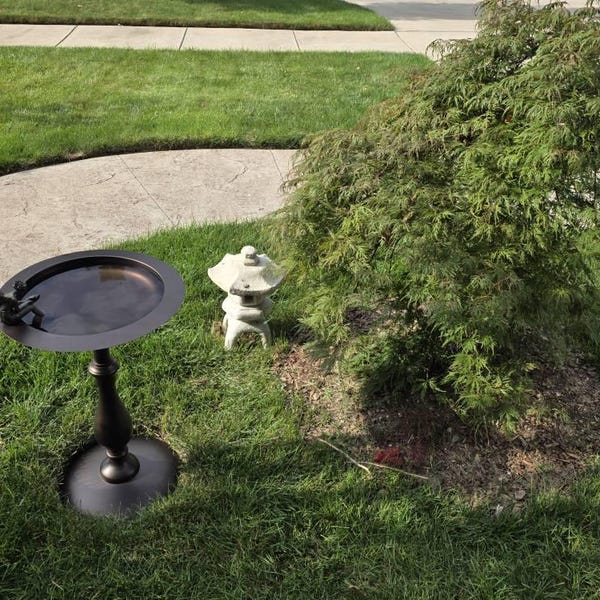 20” Rust Bird Bath With Stand - Etsy