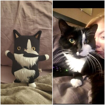 Custom Cat Stuffed Animal, Customized Kitty Plush, Soft Toy Kitten Pet ...