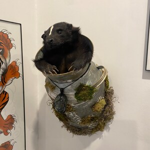 8"x10" Divine Raccoon Art Print- Taxidermy-pink Flamingos- John Waters- Oddity- Cult Classic ...