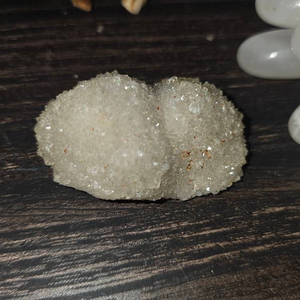 Great Lakes Jar | Sea Shells | Wildflowers | Crystals - Etsy