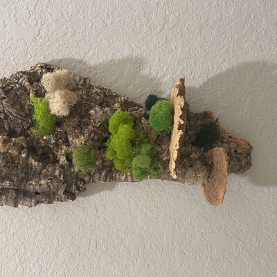 Floating Forest Art Gift, Moss on Cork Bark Natural Wall Decor ...