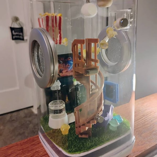 Jumping Spider Enclosure (medium) Cat Condo - Etsy