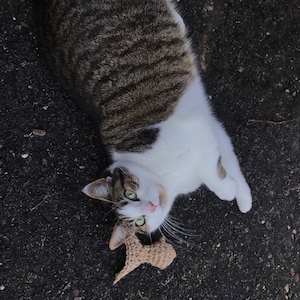 CROCHET JUTE RUG Made From 100% Jute Twine - Etsy