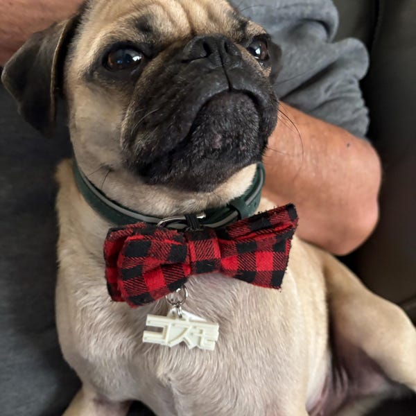 Custom Name Pet Tag, Lightweight Custom 3D Printed Tags - Etsy