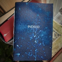 Blue Botanical Cyanotype Stickers Pack of 10 or 20 Round Glossy Labels ...