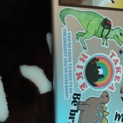 My House My Chair My Woman Sticker, Bookish Sticker, Fourth Wing, Iron ...