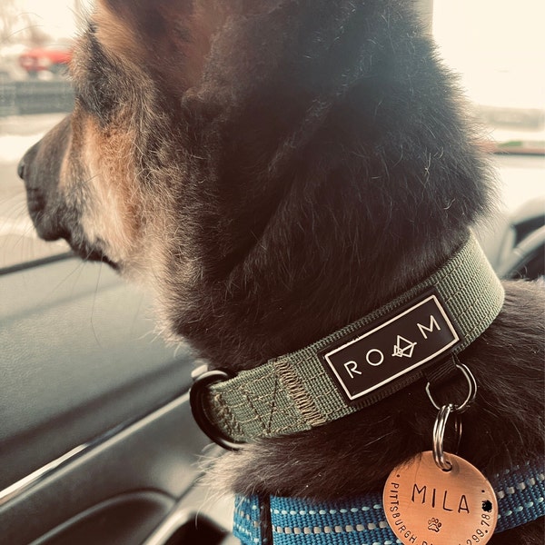 Custom Dog Tag / Custom Pet ID Tag - Lucy - in 1.25'' Domed Bronze ...