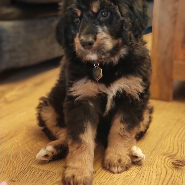 Nordic Viking Dog Tag, Norse Viking Runes Keyring, Tribal Celtic Aztec ...