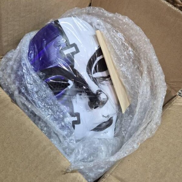 Sally Face Sal Fisher Cosplay Mask+wig, Handmade Customized Wearable ...