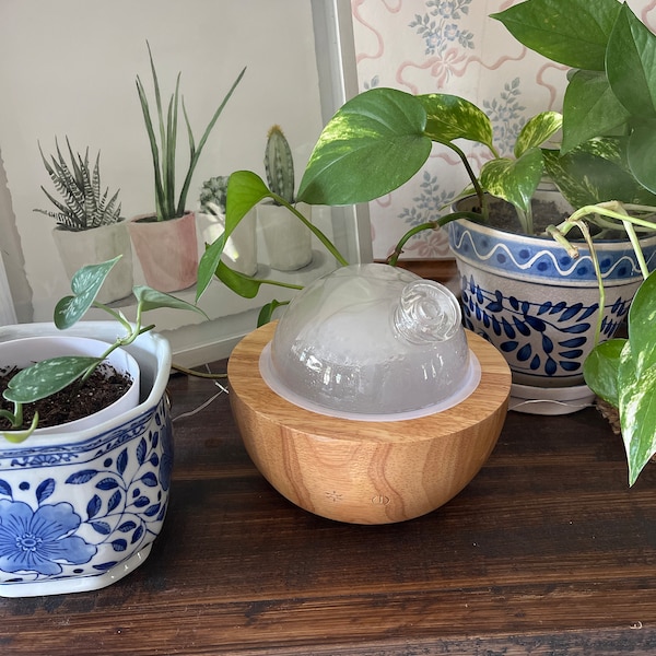 Willow | Glass Dome & Wood Grain Diffuser | Essential Oil Diffuser - Etsy