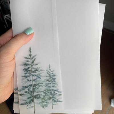 Palm Tree Vellum Wrap, 5x7 Vellum Wedding Invitation, Tropical Beach ...