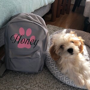 Personalised 9 Litre Backpack Water Bottle Lunch Bag | Etsy