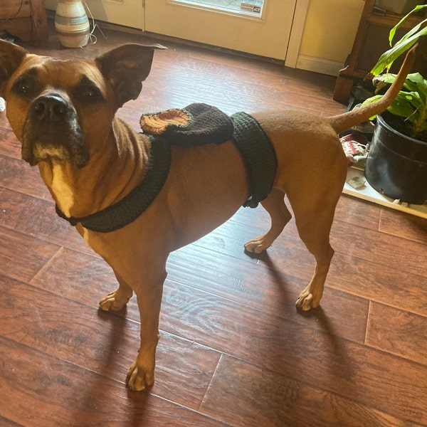Dog Backpack and Harness - Crochet Pattern - PDF - Etsy