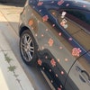 Rose and Falling Petals JDM Decal Sticker Pack rose Petals, Sadboyz ...