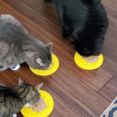 Digital-alphabet Mazes Letter Focus Worksheets for Preschool - Etsy