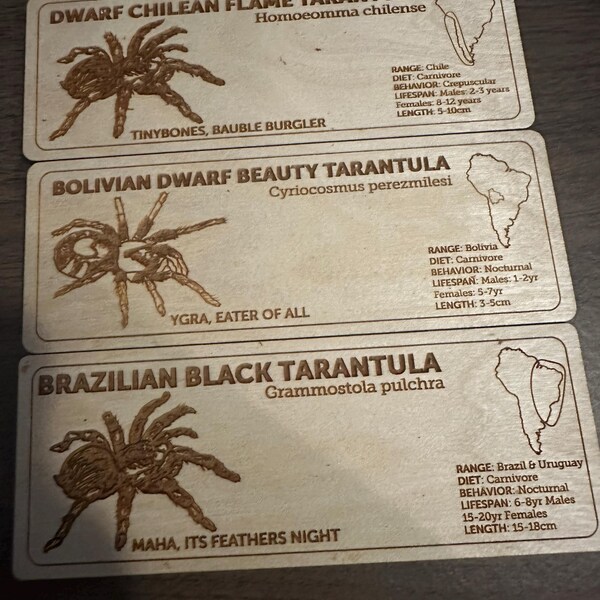 Wooden CREATURE PINS | Any Species | Custom Reptiles Amphibians ...