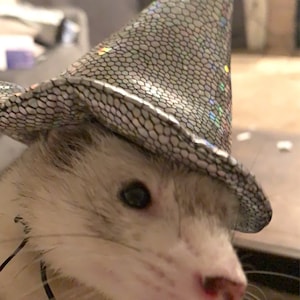 Wizard ferretсhristmas for the ferret gift for ferret owner | Etsy