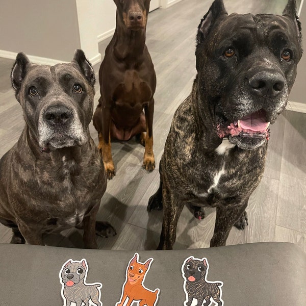 Cane Corso Sticker || Chibi Puppy Dog, Vinyl, Hand Drawn Illustration ...