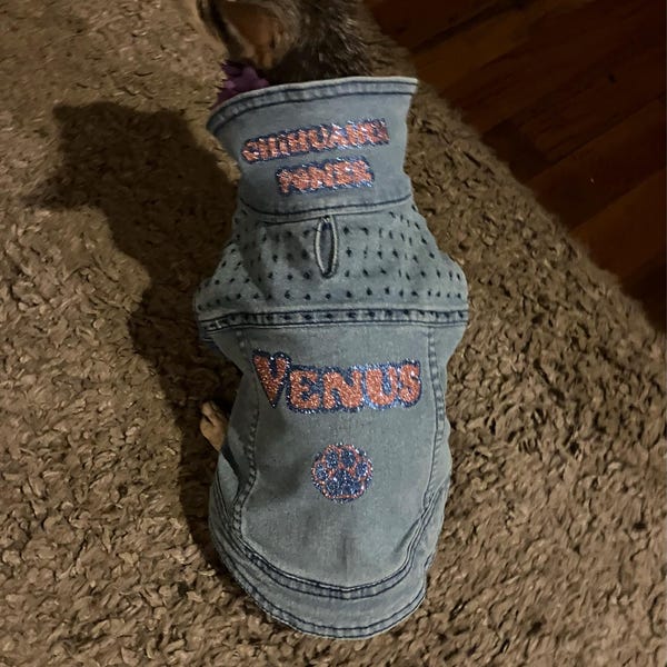 Italian Greyhound Dog Art Matte Canvas, - Etsy