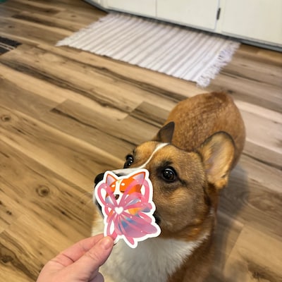 Smug Nod Corgi Animated Emote, Twitch Emotes Pack, Discord Emotes Pack ...