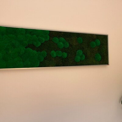 Moss Picture Moss Picture Gradient Moss Picture With Forest and Ball ...