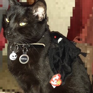 Siamese Catnip Toy Tuxedo Cat Catnip Toy Panther Catnip | Etsy