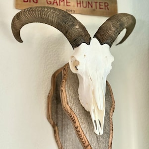 Barn Wood Turkey Plaque - Etsy