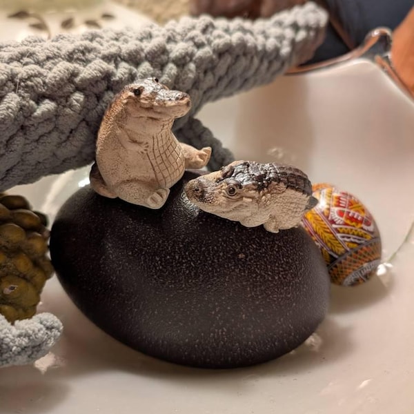 The Chubby Reclining Crocodile Sculpture is the Ideal Crocodile Tea Pet ...
