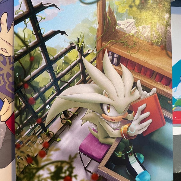 Sonic the Hedgehog Prints!! - Etsy