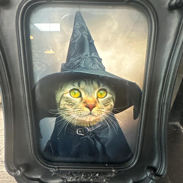 Custom Witch Pet Portrait From Photo Perfect Gothic Gift Dark Pet Gift ...