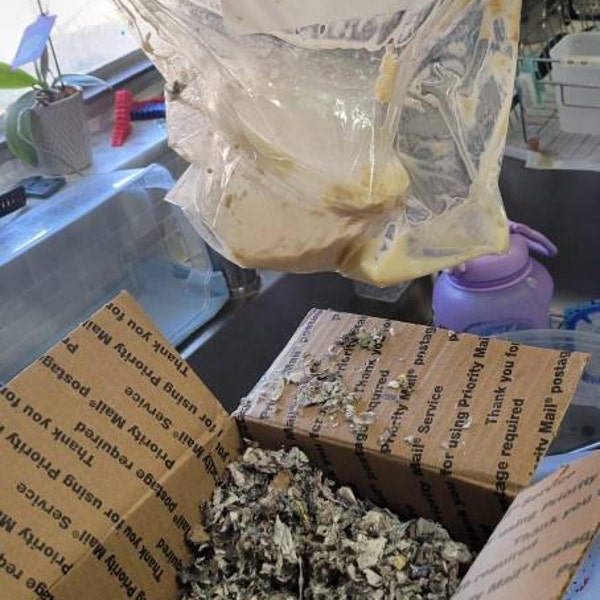 Floating Fish Breeding Mop Live Bearer and Egg Layers Fry Hiding - Etsy