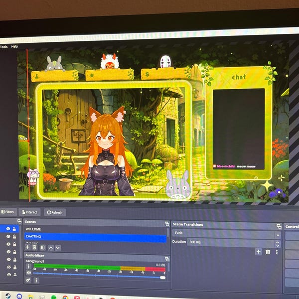 Pngtuber, Gamer Girl 2d Vtuber / Premade & Presetup Model With 5 ...