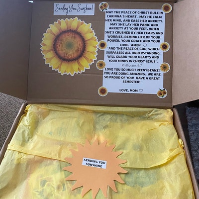 A Bit of Sunshine to Brighten Your Day Sunflower Care Package, Sending ...