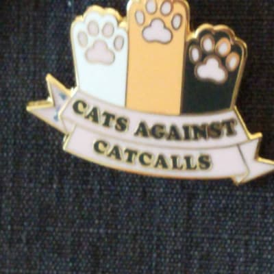 Cats Against Catcalls Enamel Pin Feminist Cat Pin - Etsy