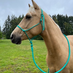 Neck Rope Liberty Line Liberty Rope Bridless Riding - Etsy