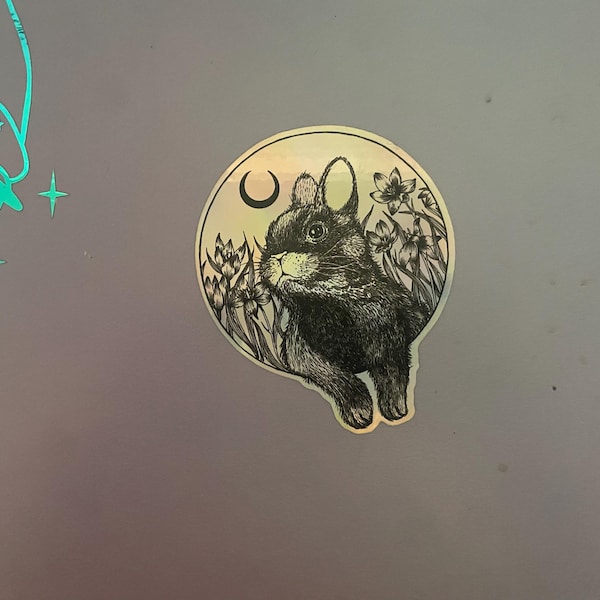 Moon Witch Stickers, Witch Stickers, Moon Stickers, Witchy Stickers ...