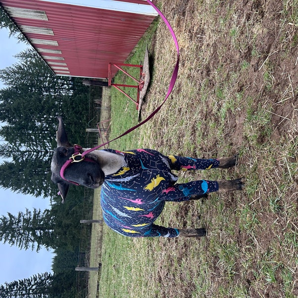 Aztec Western Lamb Leg Tubes - Etsy