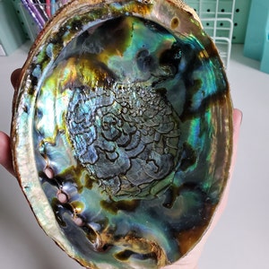 Wholesale Abalone Shells for Smudging Smudging Bowl to Smudge | Etsy