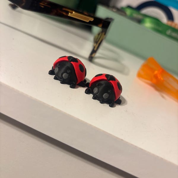 Ladybugs | 3D Printed | Articulated Flexi Bundle | Adorable Poseable 1 ...
