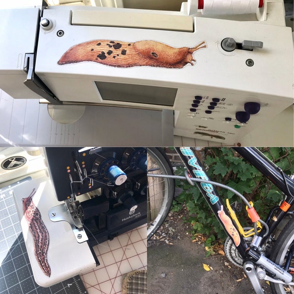 Banana Slug and Leopard Slug Sticker Pack, 2 Vinyl Stickers Pacific ...