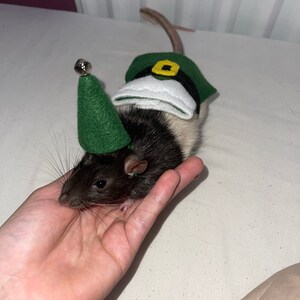 Elf Costume Pet Costume for Rats Santa Helper Rat - Etsy