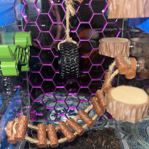 3D Printed Magnetic Spider Platforms Set of 3, Terrarium Platforms - Etsy