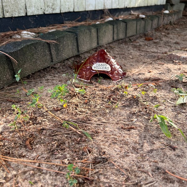 Handmade/toad Hotel/toad Inn/ Toad Home/toad Abode/toad Hut/ceramic ...