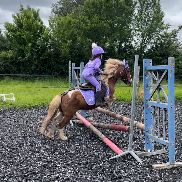 Equestrian Horse Riding Set With Horse Design Full Matchy Matchy Can't ...