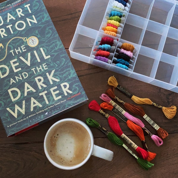 DMC Storage Box for Floss/embroidery Thread Bobbins+ 50 Free Bobbins ...