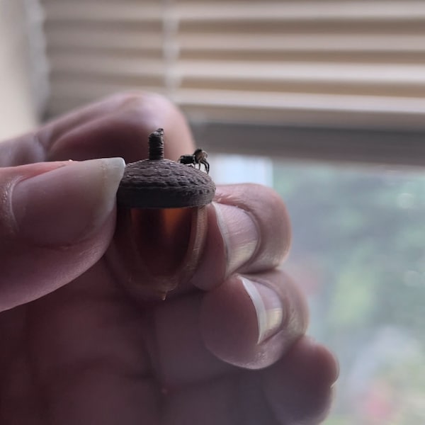 3D Printed Magnetic Acorn Spider Hide- Upgraded Sling Acorn Magnets! - Etsy